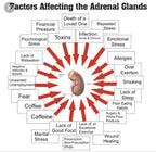 support hormonal balance with Miracle