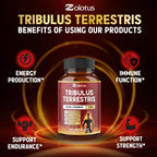 support hormonal balance with Zolotus