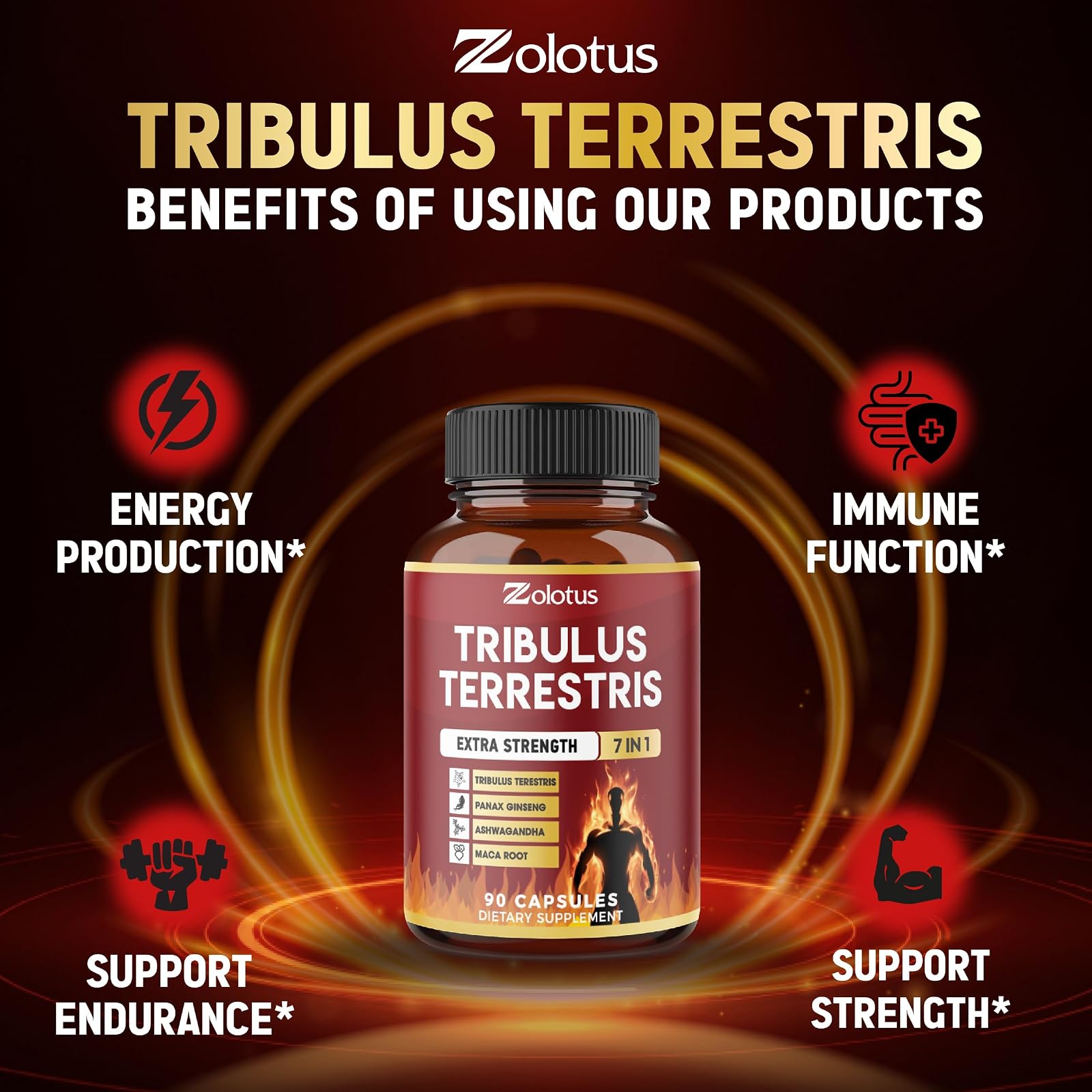 support hormonal balance with Zolotus