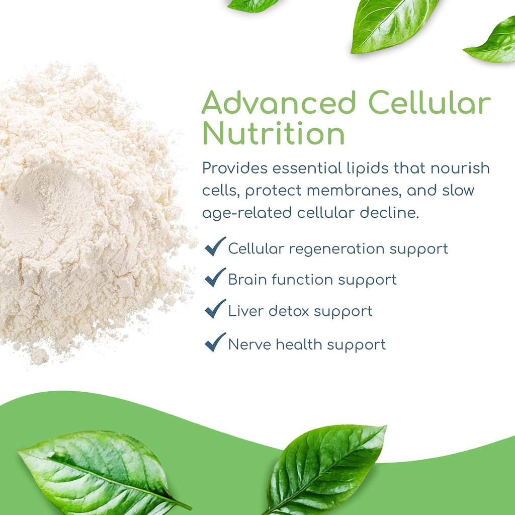 support immune function supplement