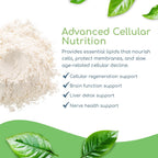 support immune function supplement