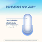 support immune function with Ergothioneine