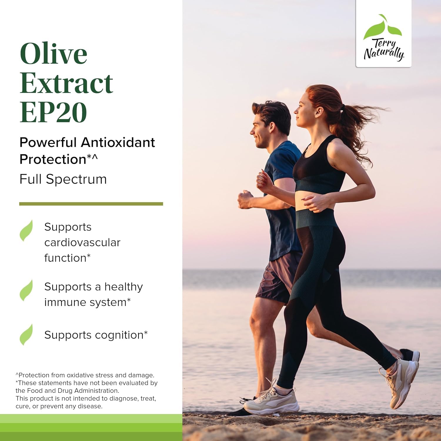 support immune function with olive leaf