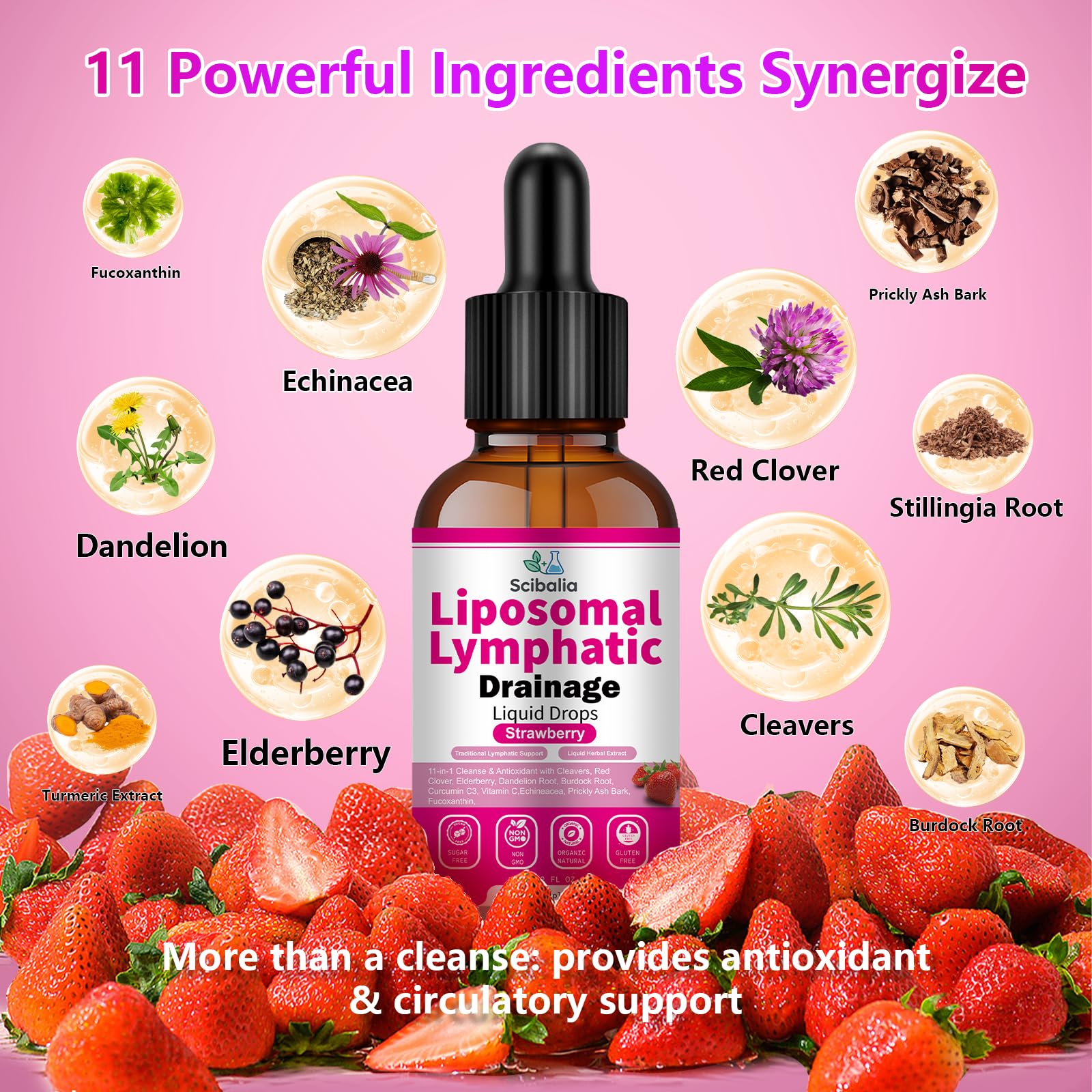 Support immune function with Scibalia drops