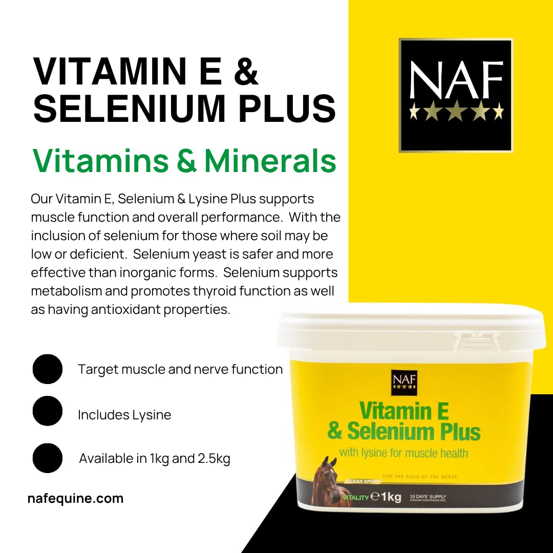 support immune function with selenium