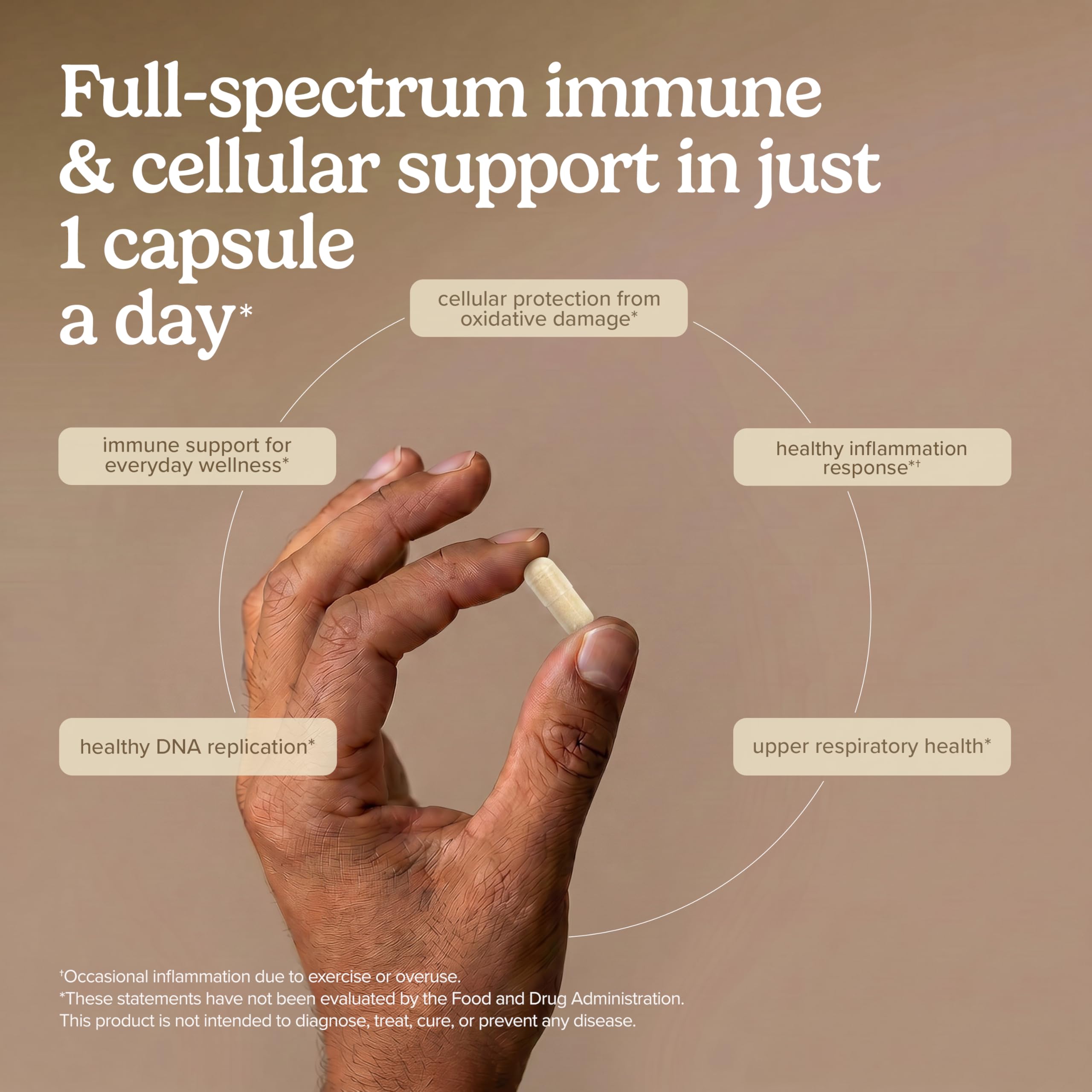 Support immune function with zinc