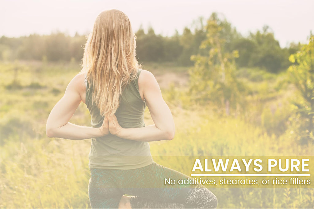 support immune health naturally
