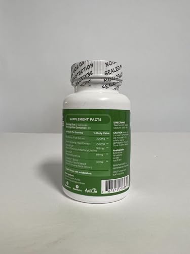 support immune health naturally