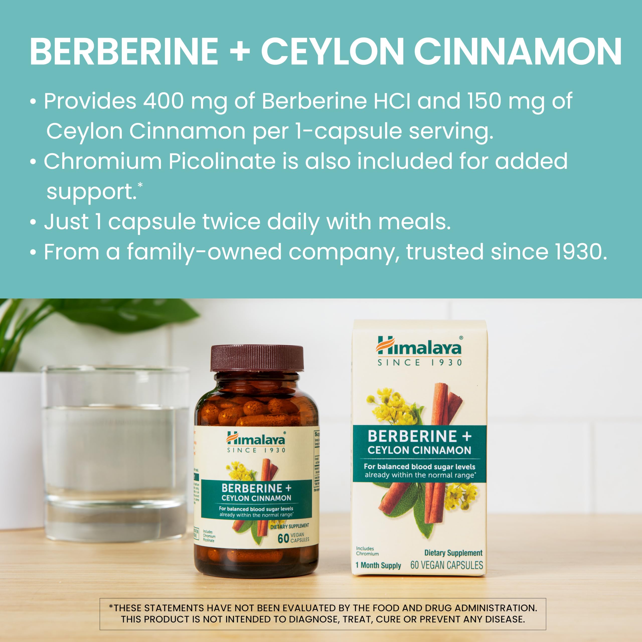 support immune health naturally