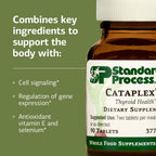 support immune health vitamin E