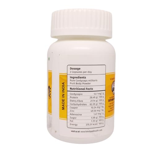 support immune health with cordyceps
