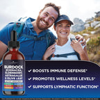 support immune health with echinacea