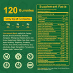 Support immune health with gummies