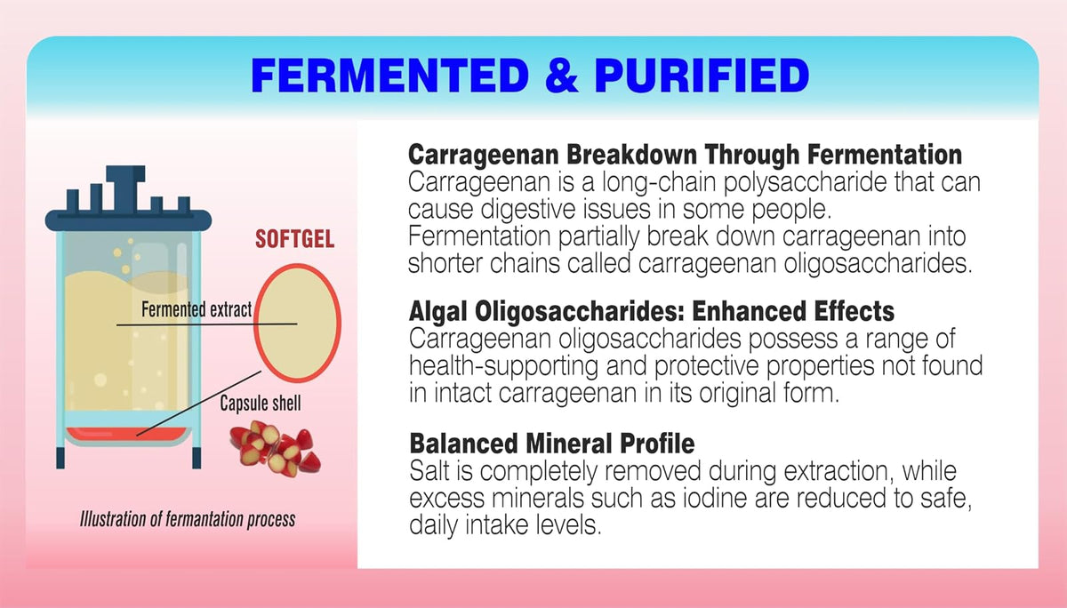 support immune health with PHARMAKON