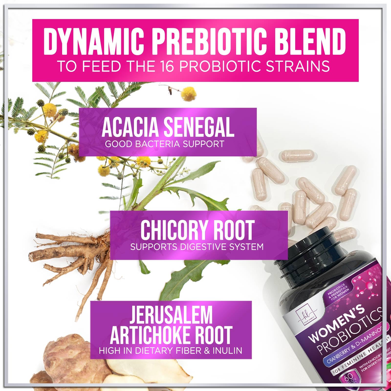 support immune health with probiotics