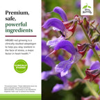 Support immune health with Red Sage