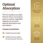 support immune health with vitamin D