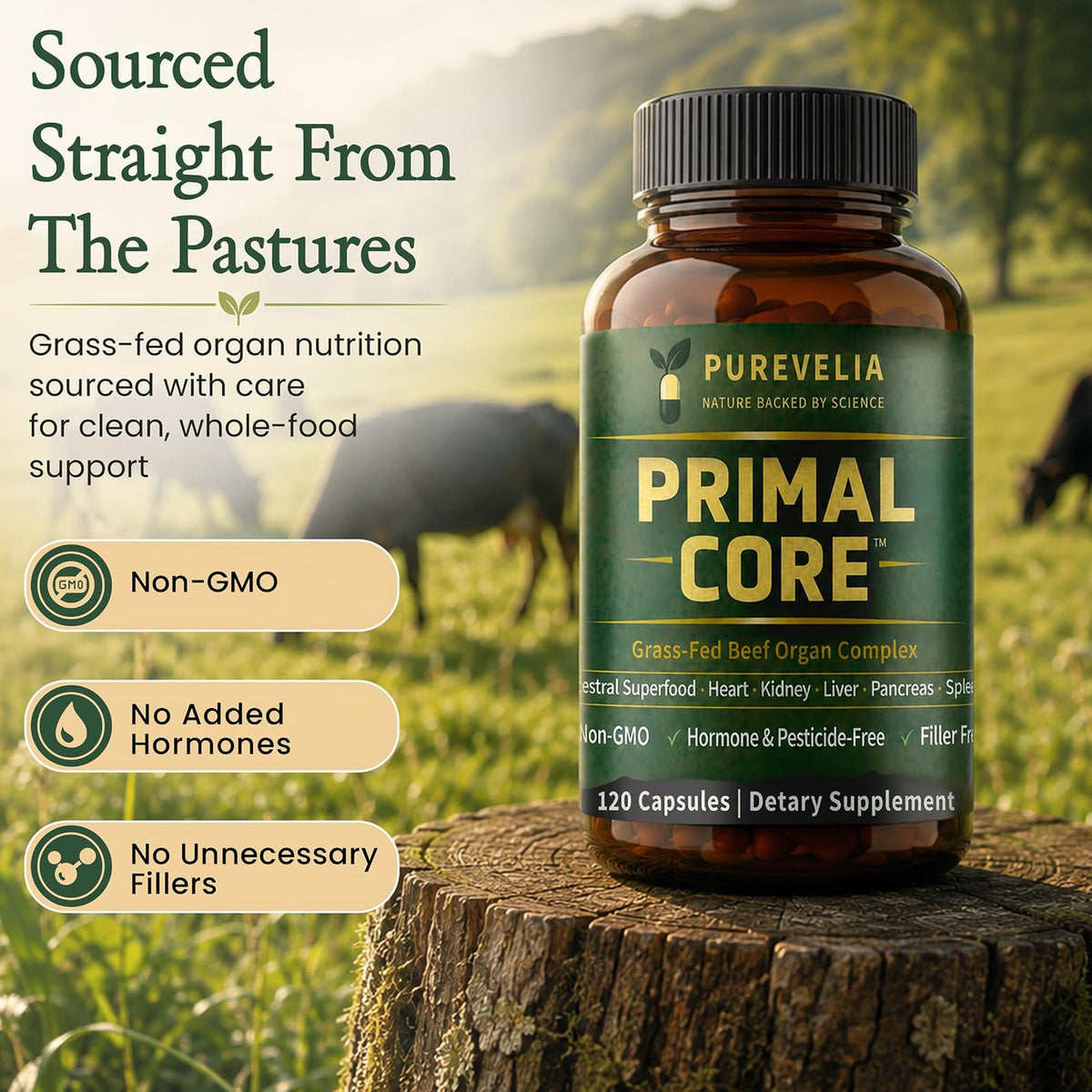 support immune system with beef organs