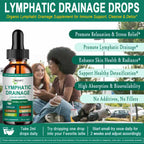 support immune system with echinacea