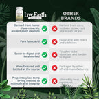 support immune system with fulvic