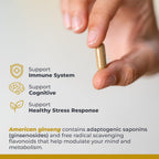 support immune system with Ginseng