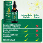 Support immune system with Mullein