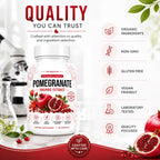 support immune system with pomegranate