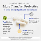 support immune system with probiotics
