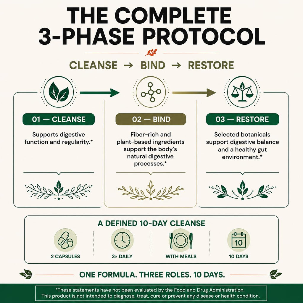 support immune system with wormwood