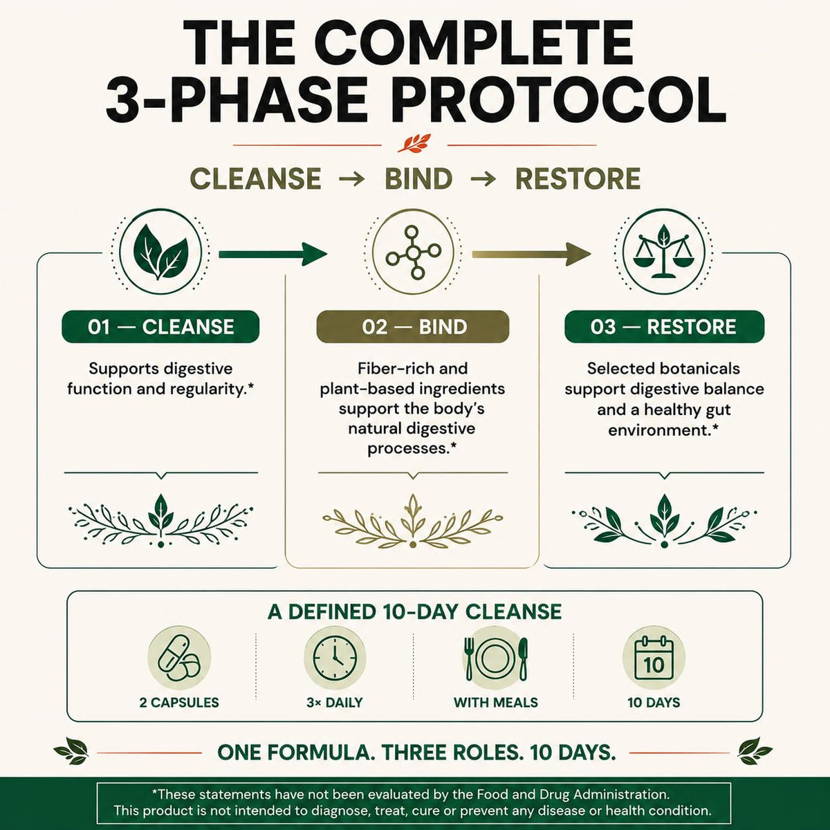 support immune system with wormwood