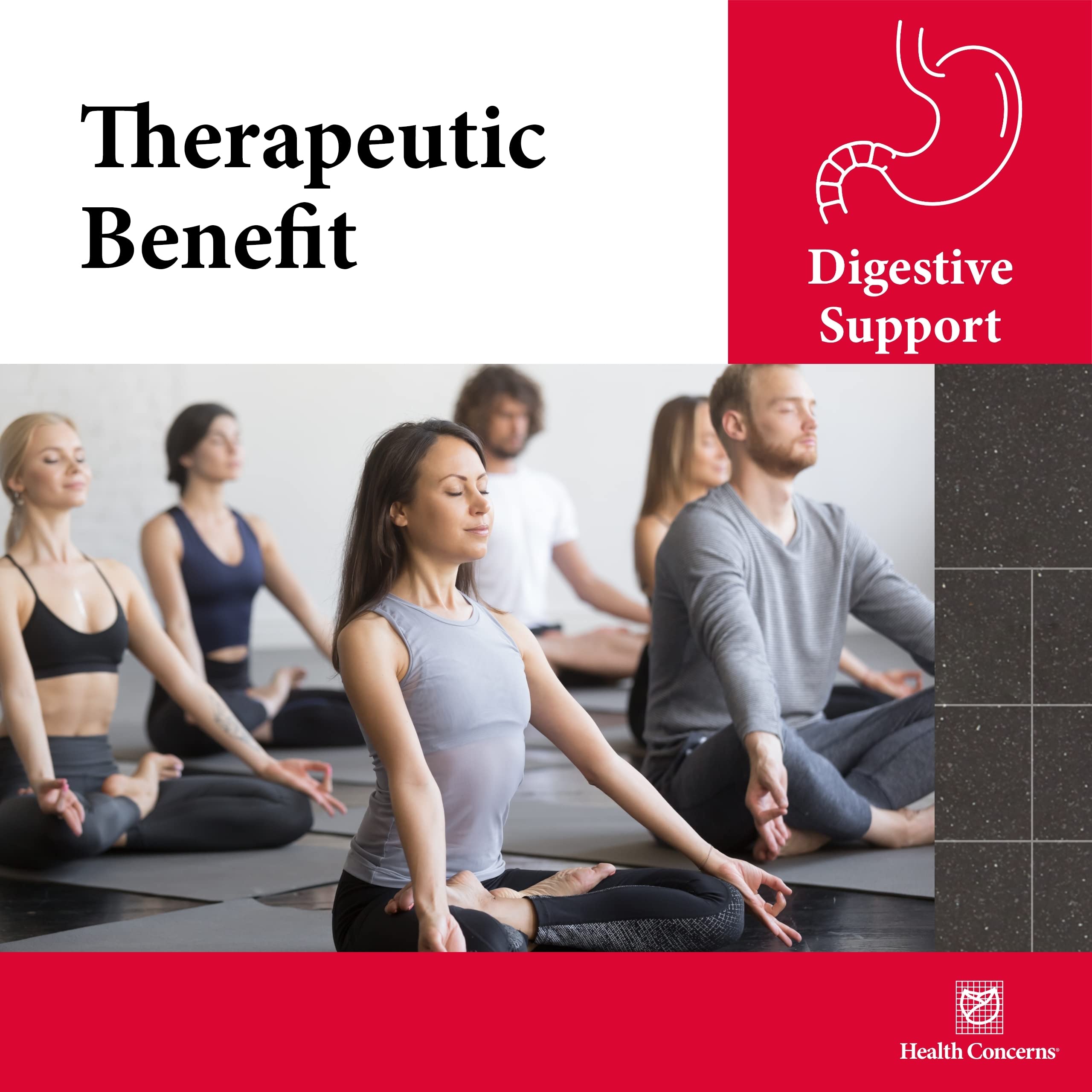 support intestinal health blended vitamin & mineral supplements