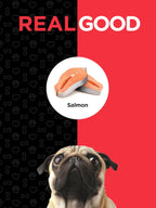 support joint health in dogs