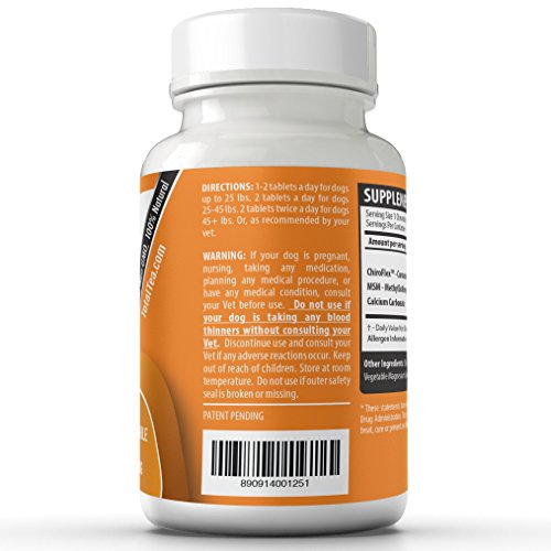 support joint health in dogs