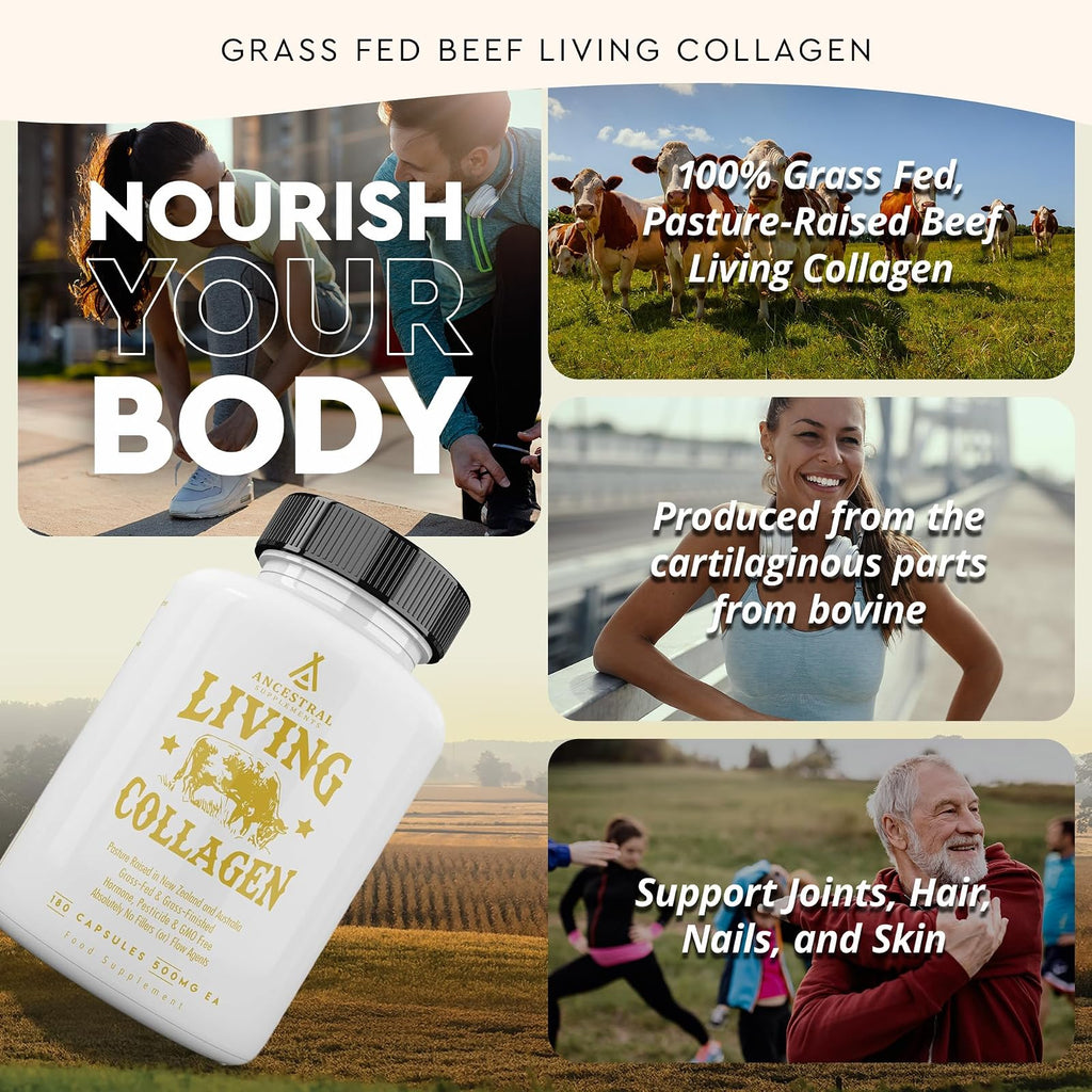support joint health with collagen