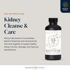 support kidney health and function