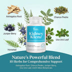 support kidney health naturally