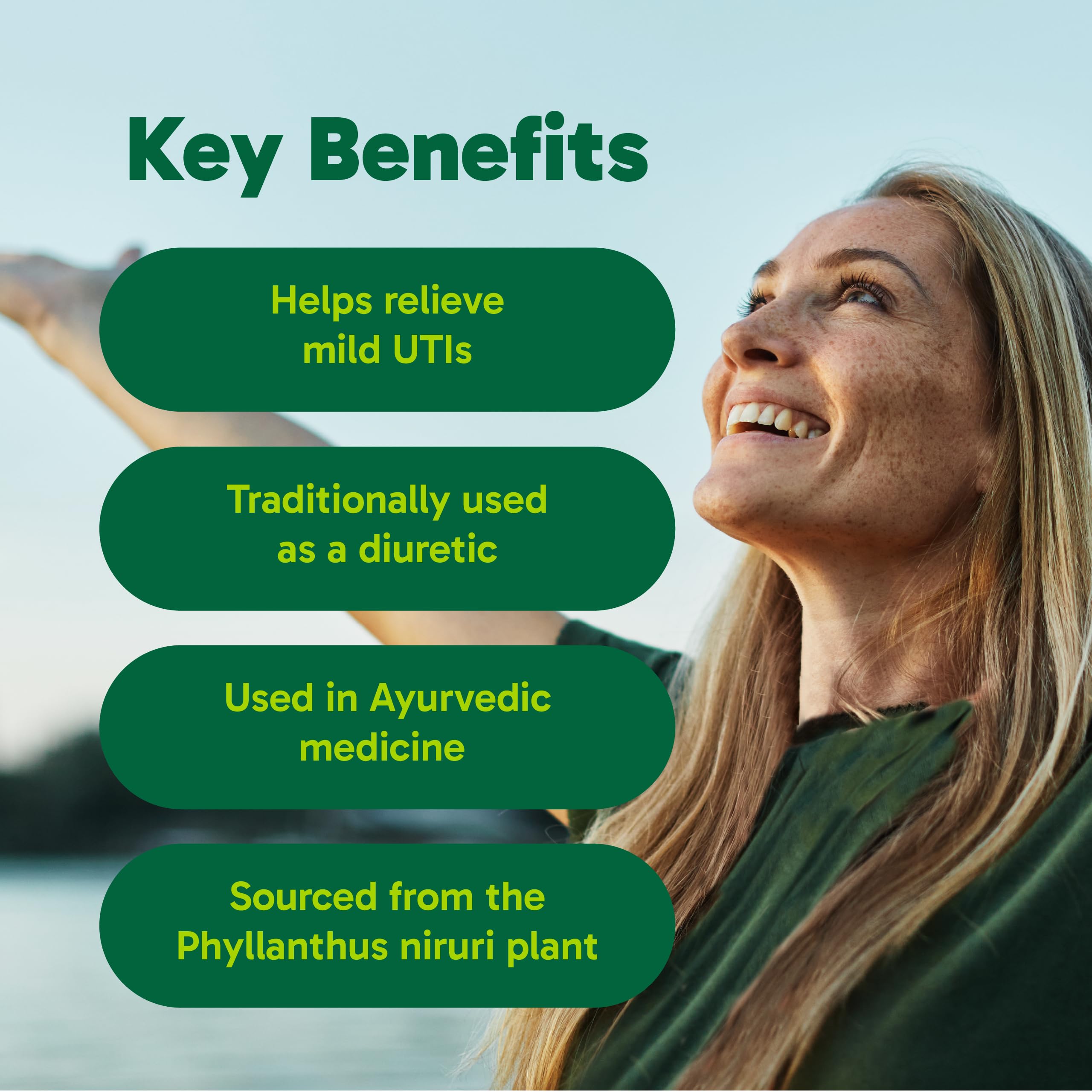 support kidney health with Chanca Piedra