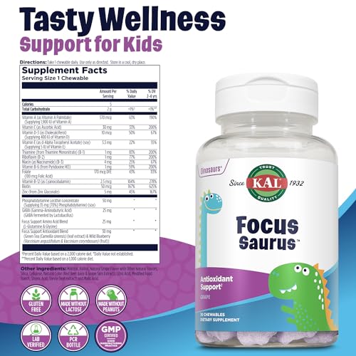 support kids' health with Kal Focus-Saurus