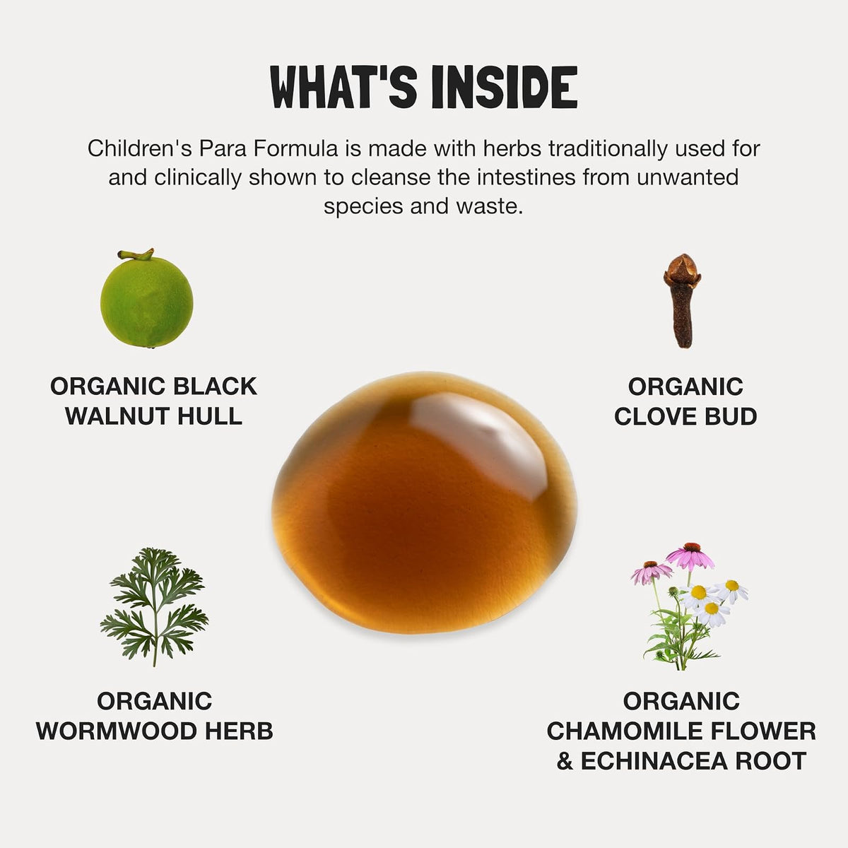 support kids immune system naturally