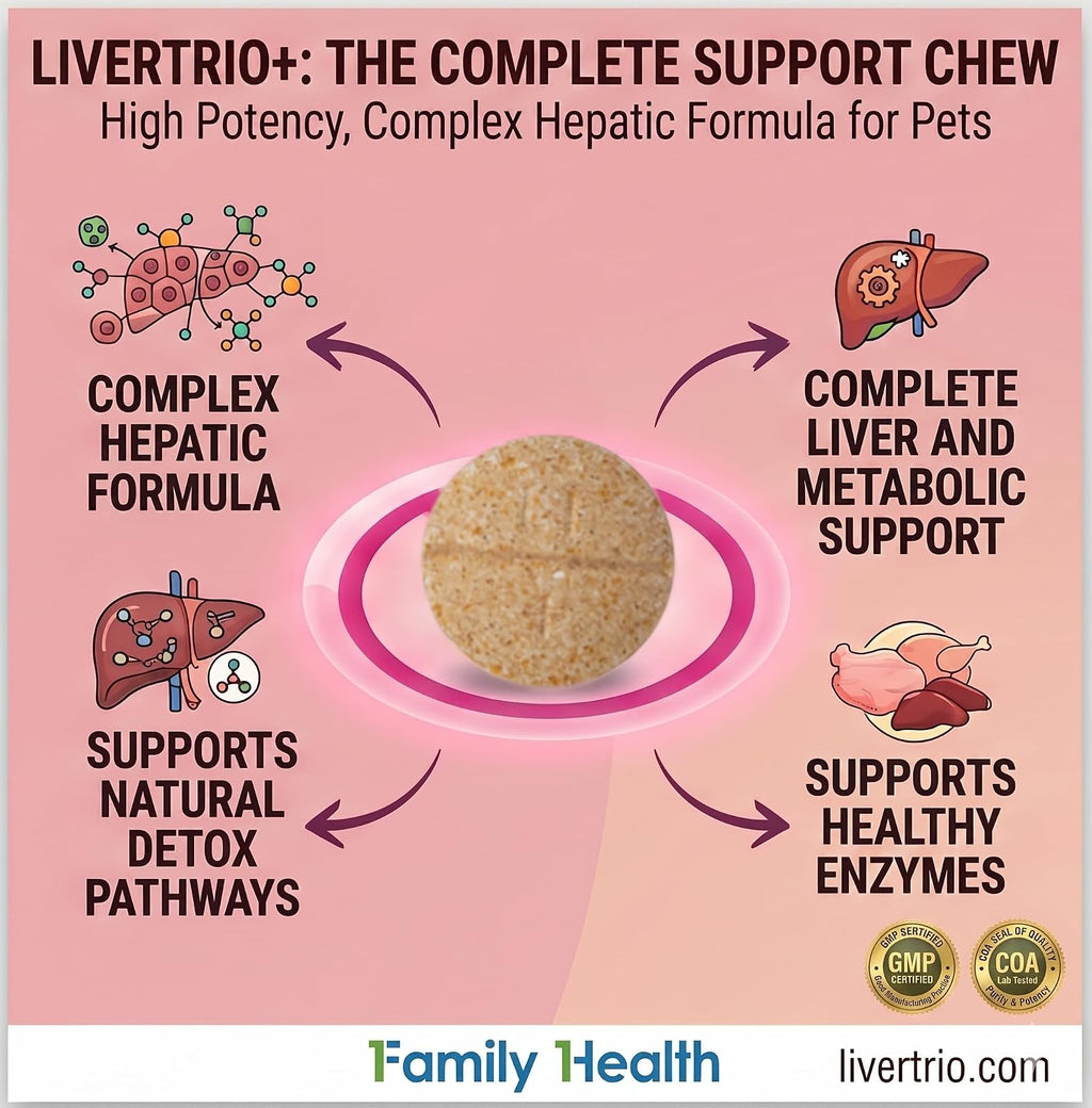 Support liver function in large dogs