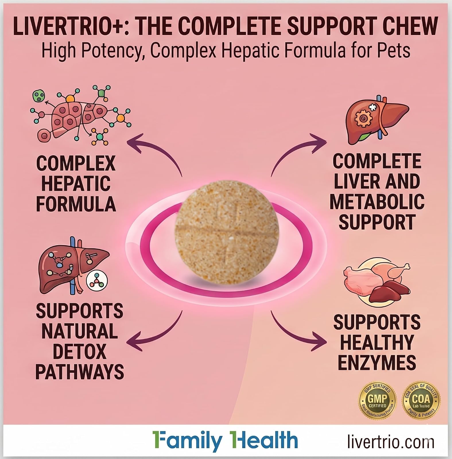 Support liver function in large dogs