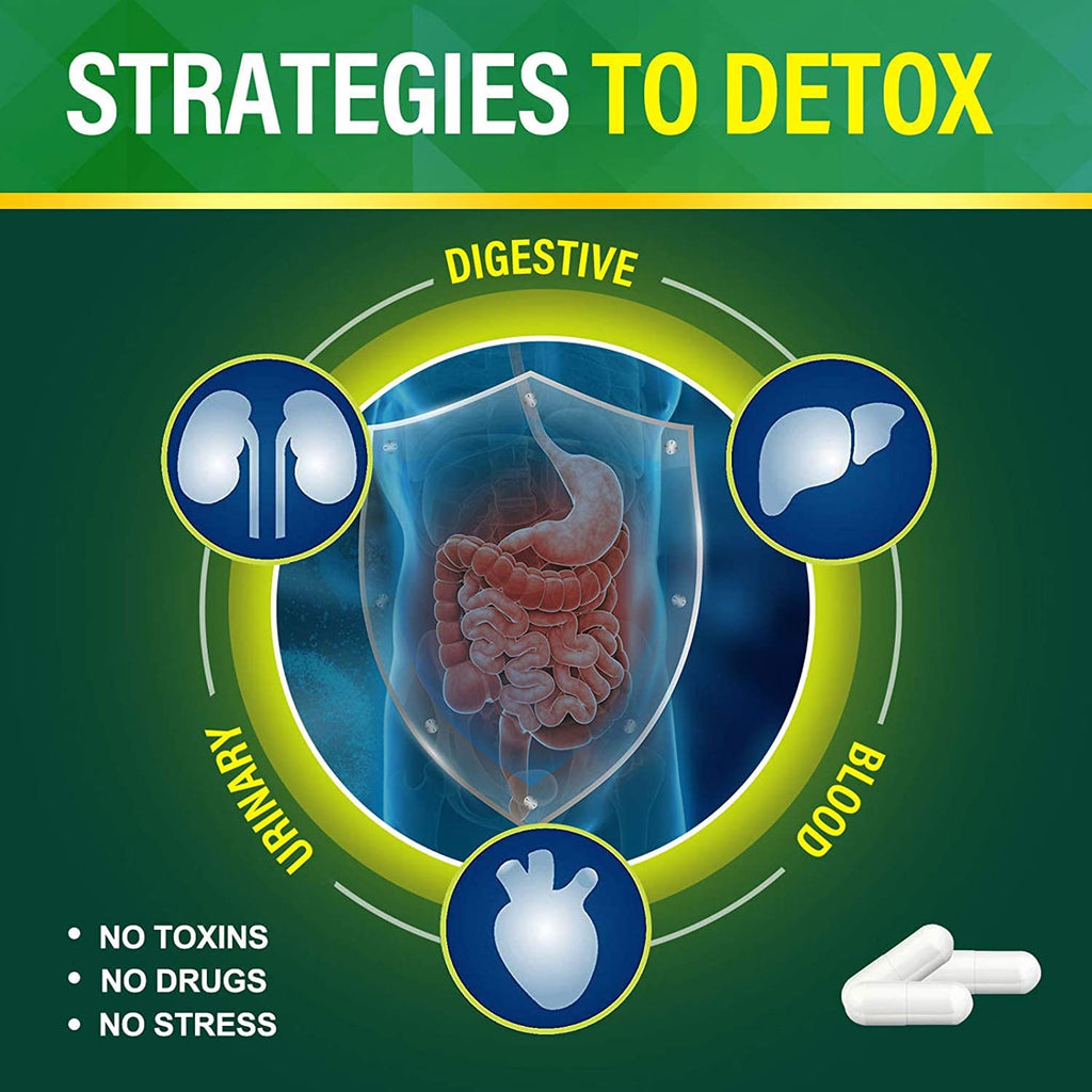 support liver function naturally