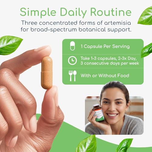 support liver function with Artemisia
