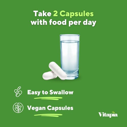 support liver function with artichoke
