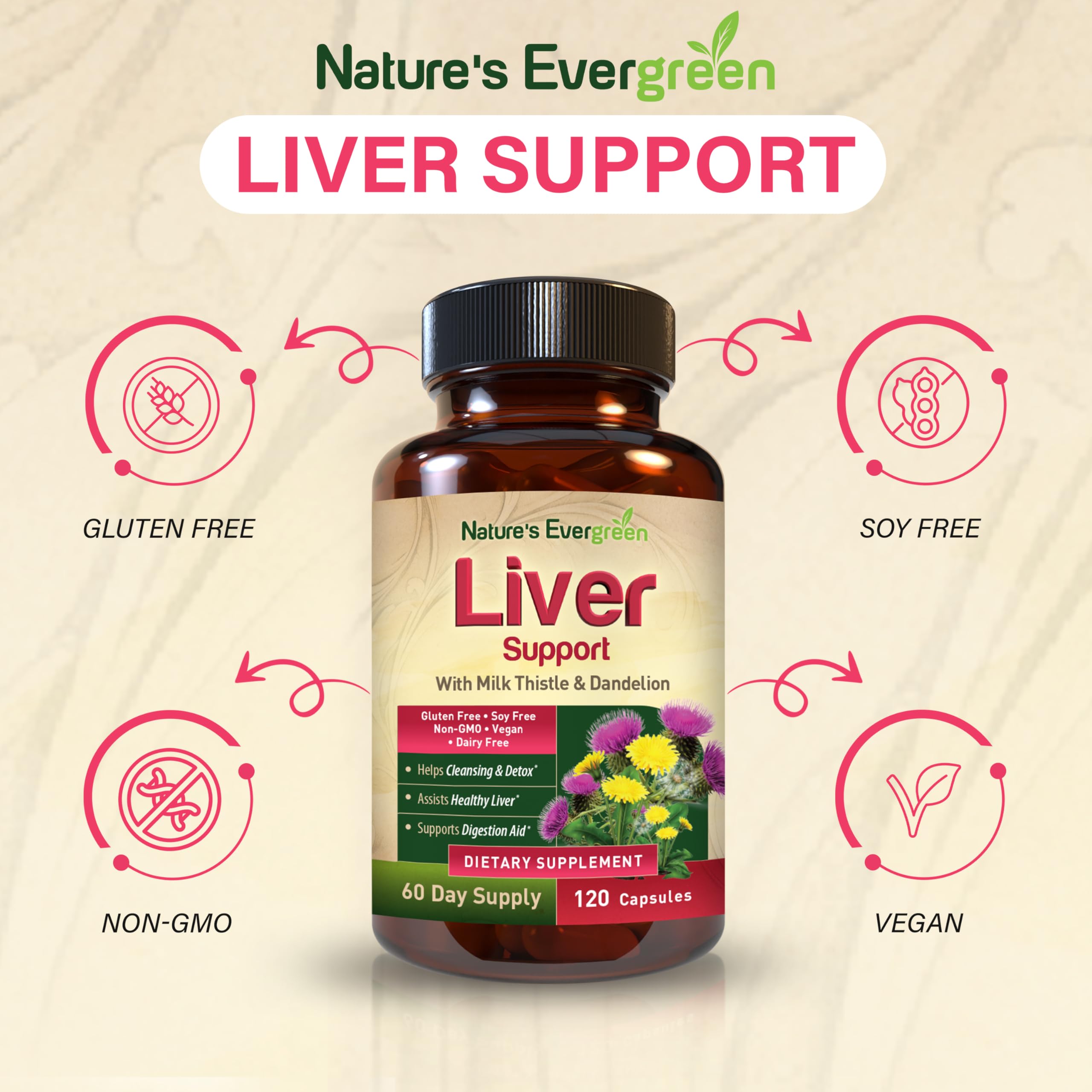 support liver function with artichoke