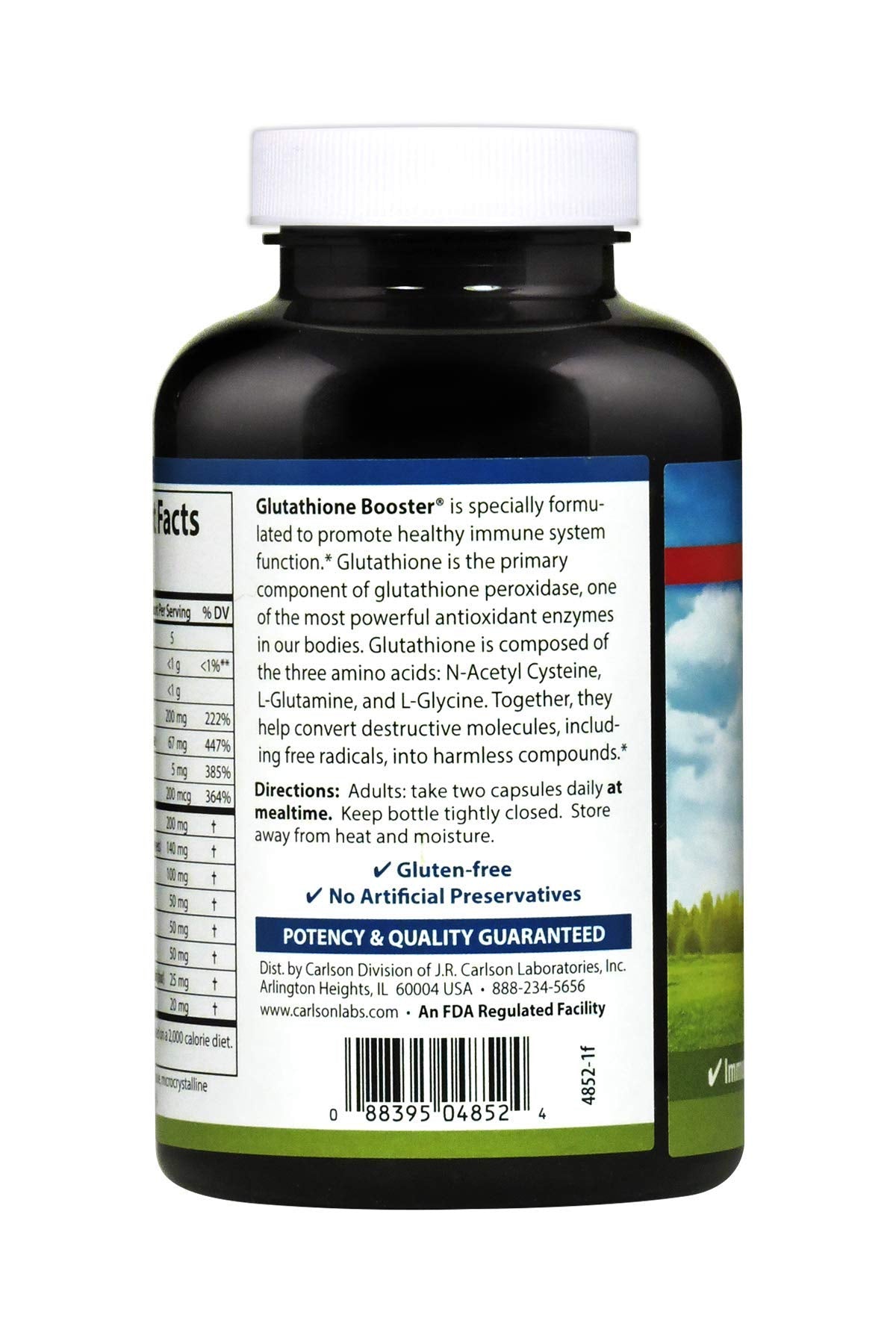 support liver function with glutathione