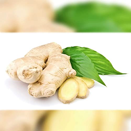 support liver function with herbal tea