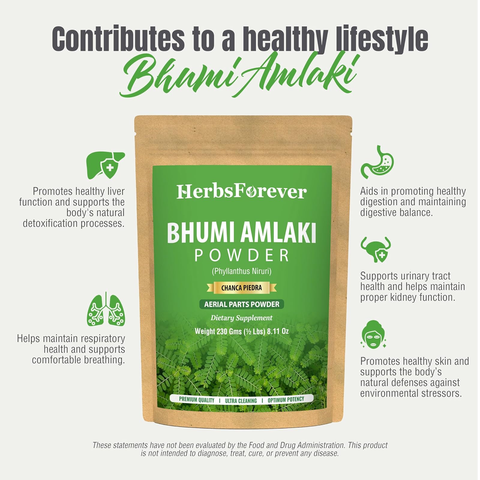 Support liver function with herbs