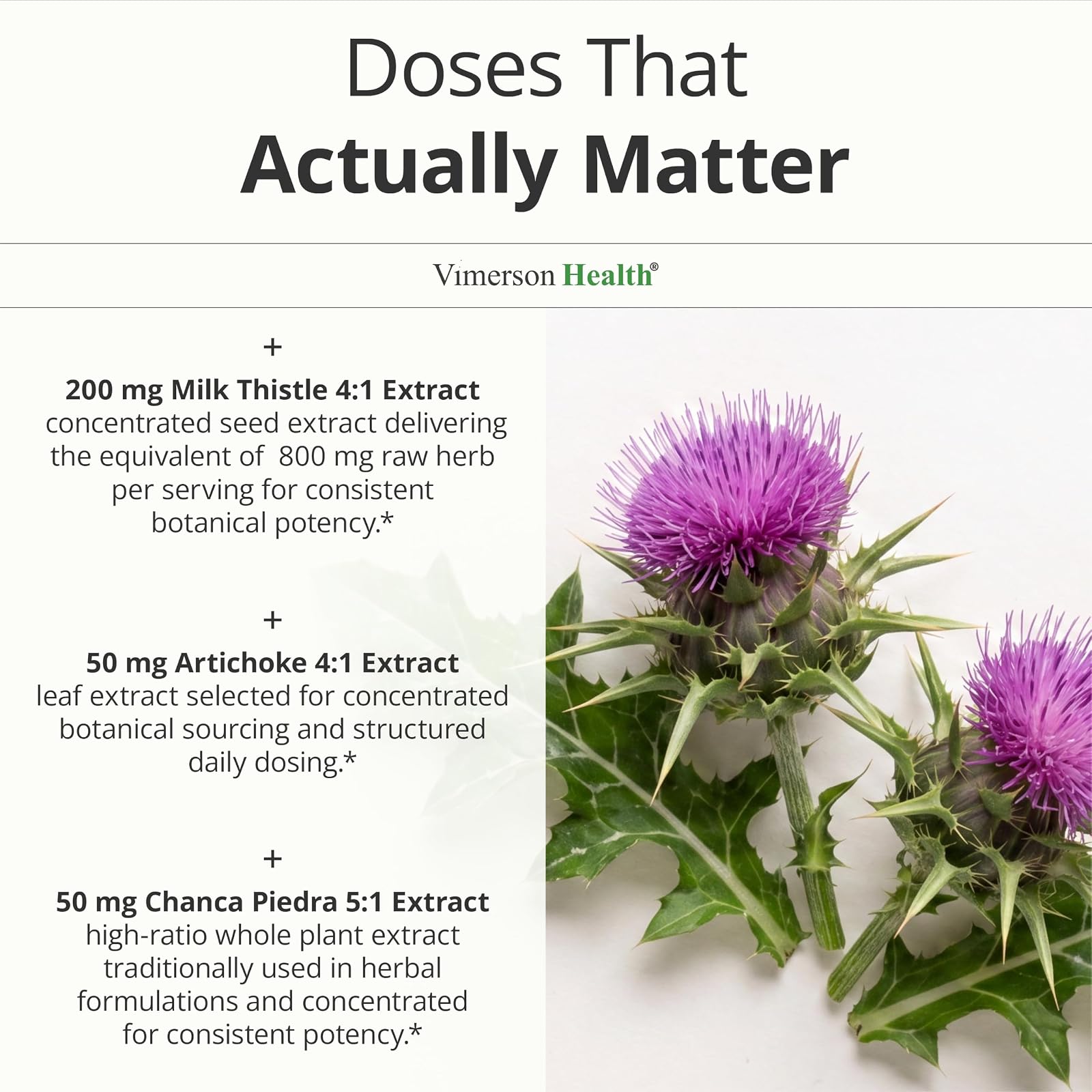 support liver function with milk thistle