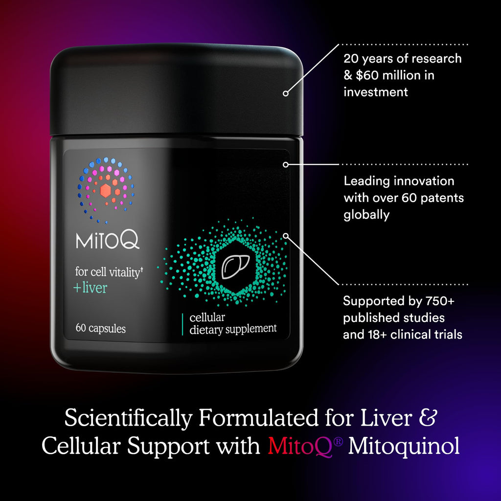 support liver function with milk thistle